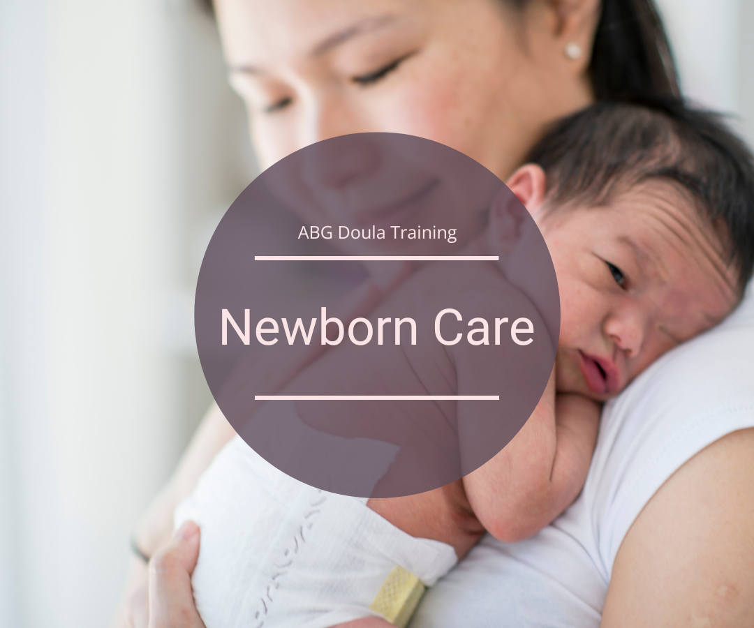 ABG Postpartum Doula Training and Certification Program