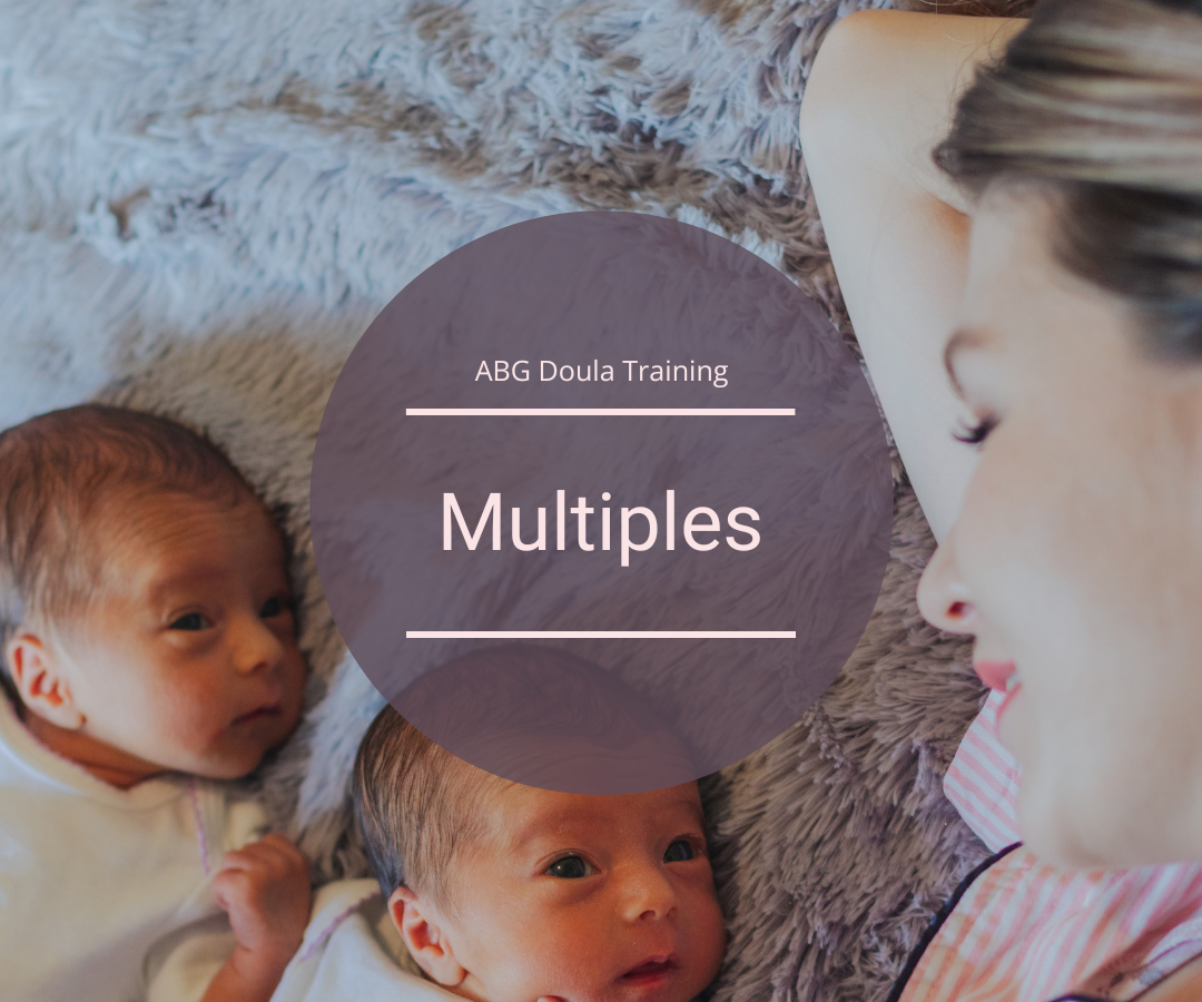 ABG Postpartum Doula Training and Certification Program